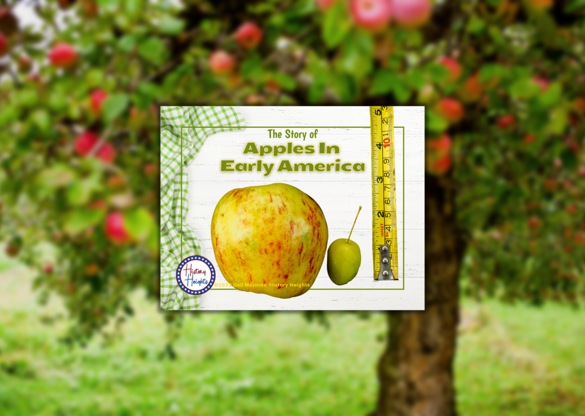 The Story of Apples in Early America – Gail Masinda (History Heights ...